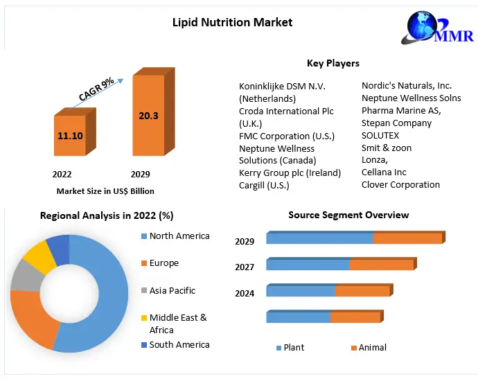 Nutrition Unveiled: Understanding the Impact of Lipids on Well-Being ...