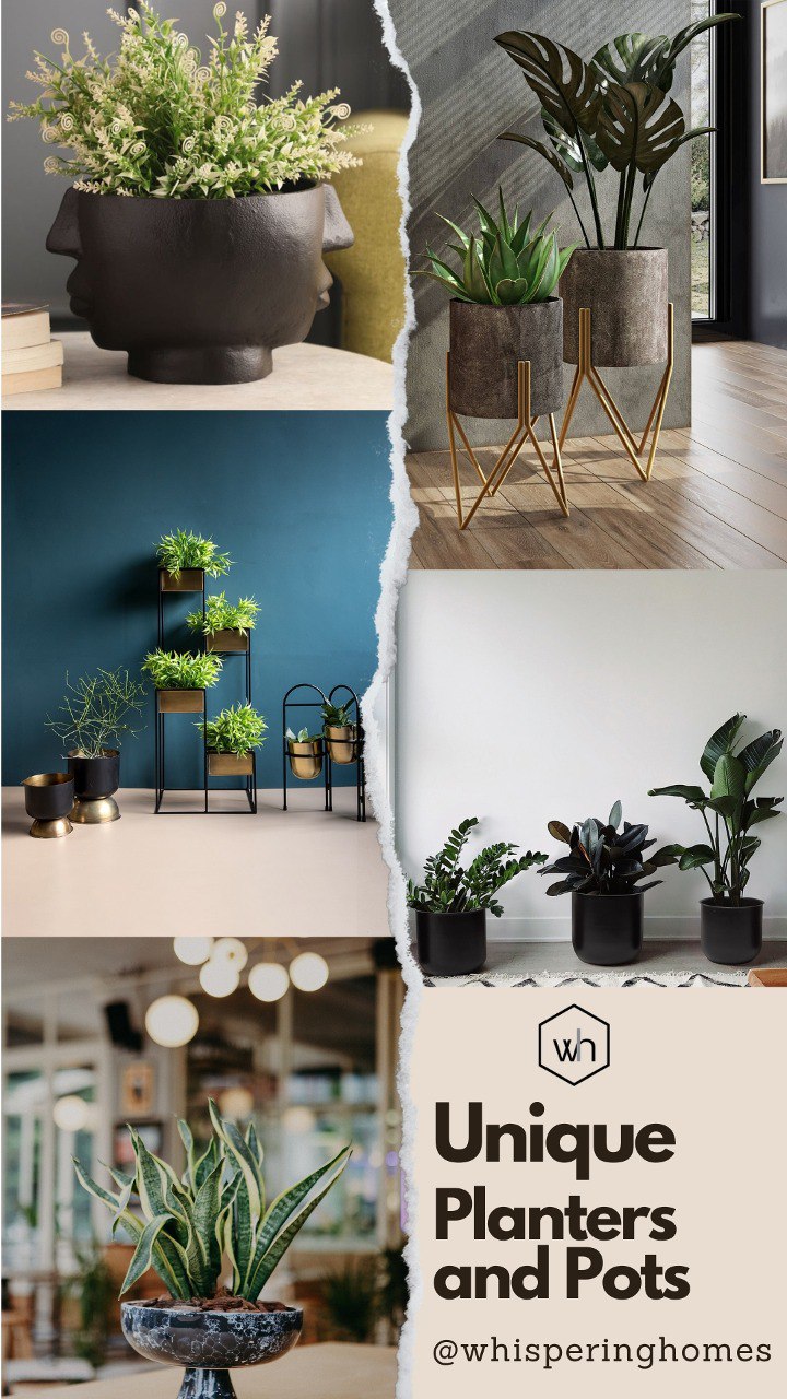 Bring the Greenery Indoors with Unique Planters and Pots - Onealexanews.com
