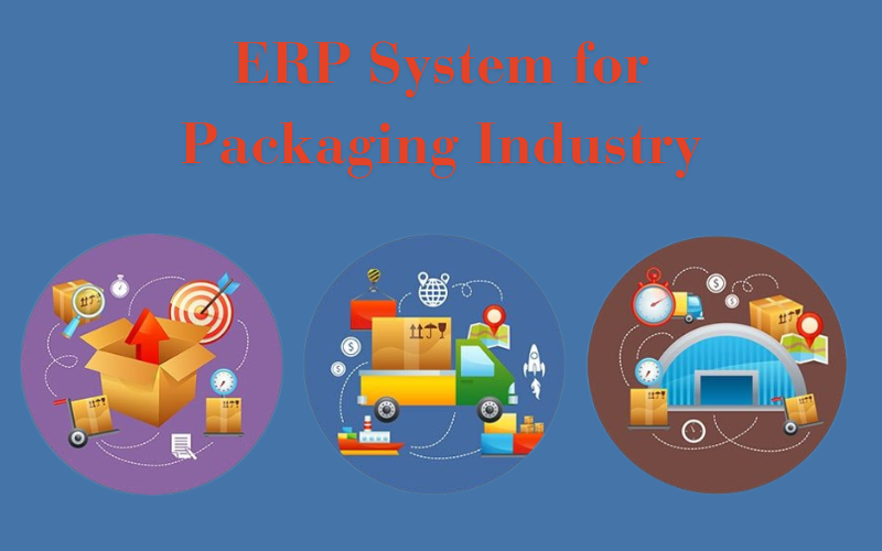 How ERP System for the Packaging Industry Helps Drive Growth? - Onealexanews.com