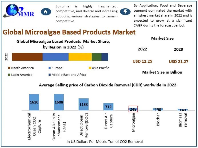 Green Gold Revolution: Unveiling the Diverse Horizons of the Global Microalgae-Based Products ...