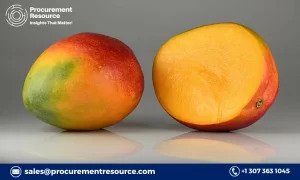 The Mango Industry: Understanding the Production Cost and Its Impact on ...