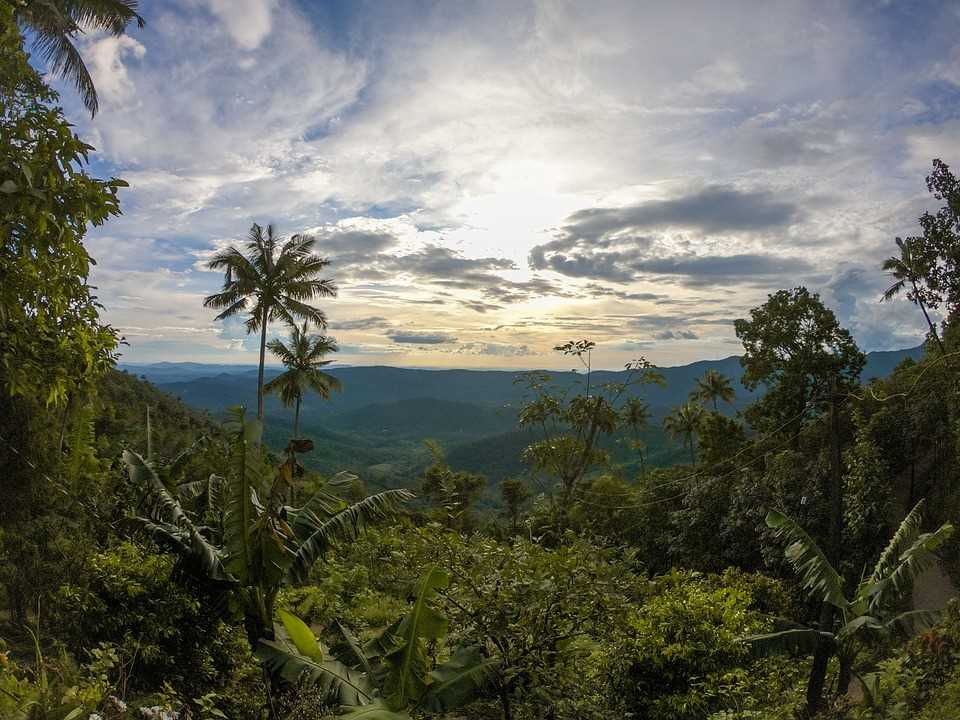 Sabarimala Pilgrimage Tour: A Spiritual Trek In Kerala - Onealexanews.com