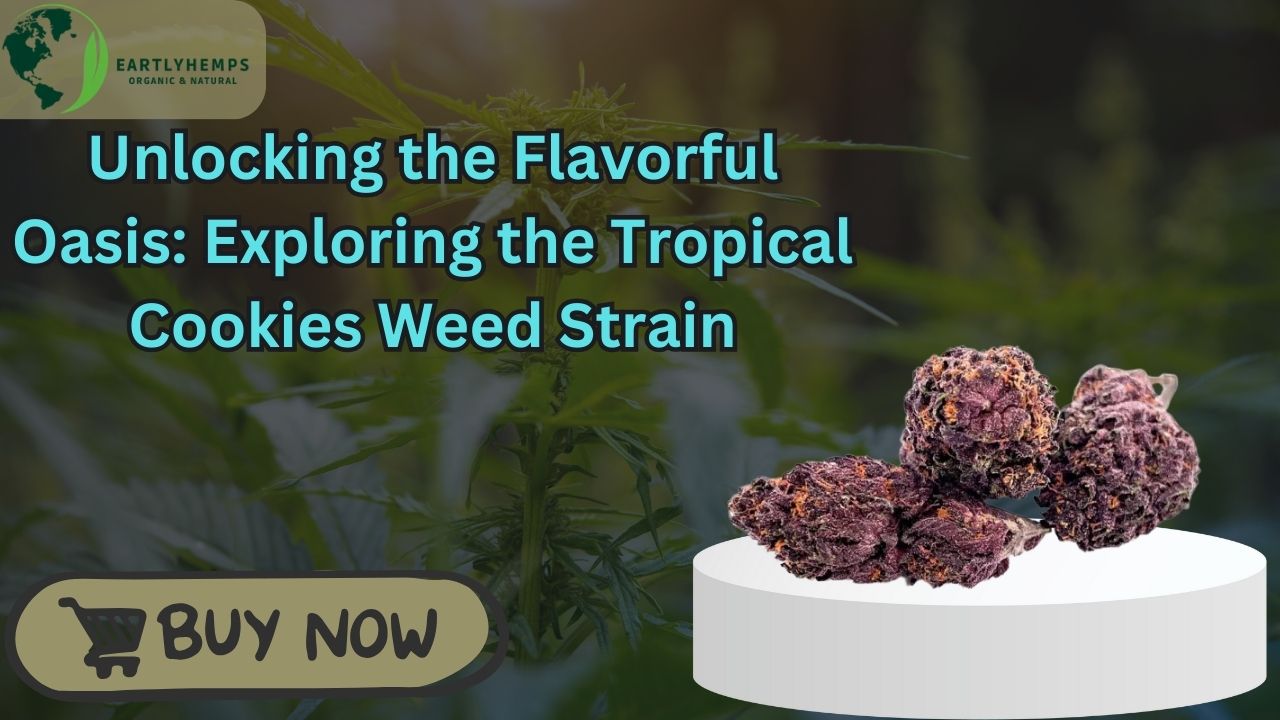 Unlocking the Flavorful Oasis: Exploring the Tropical Cookies Weed ...